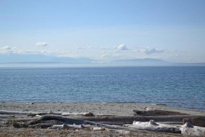 Beaches, Parks, & Recreation – Greater Freeland Chamber of Commerce